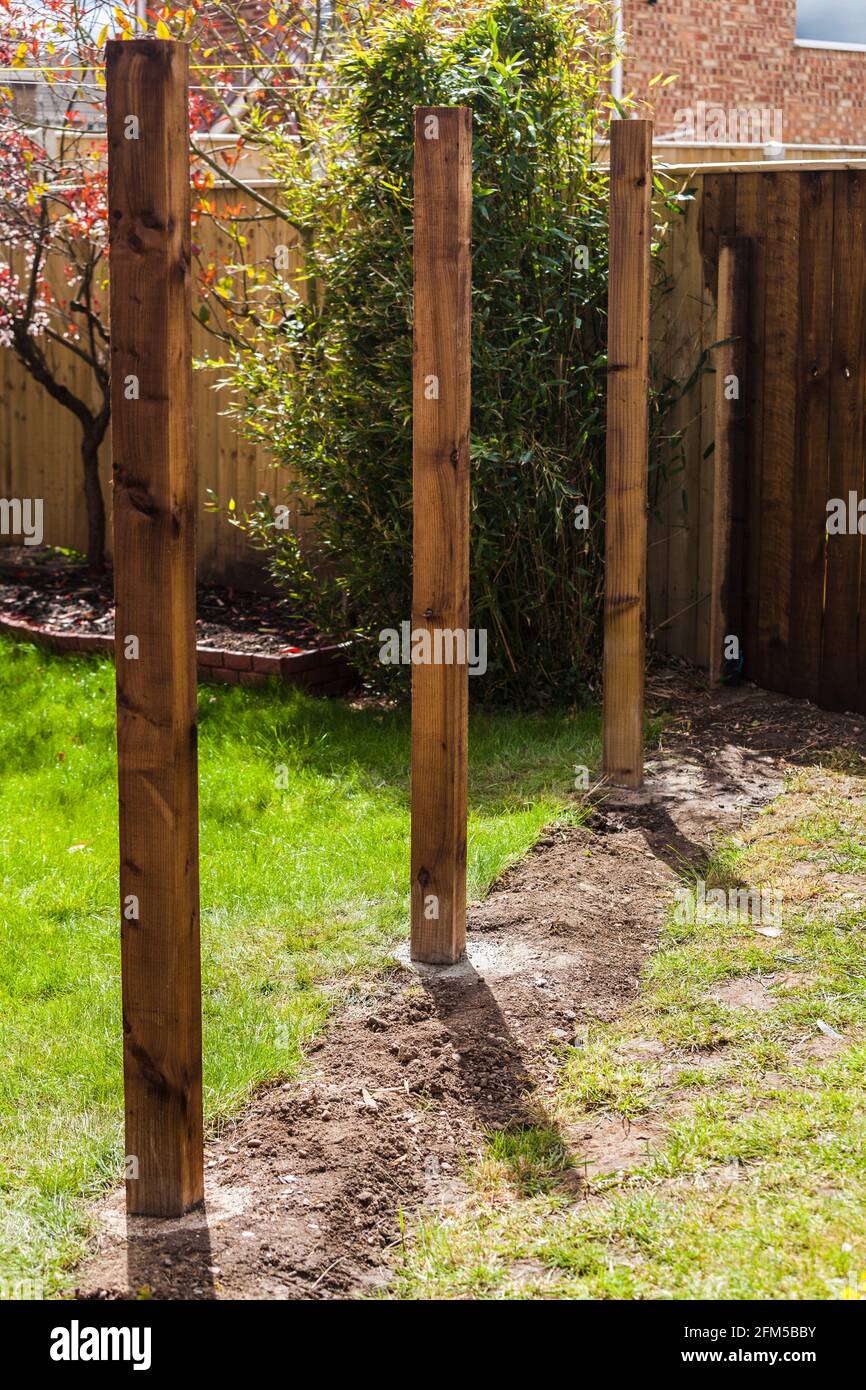 New fence posts set in concrete in a garden in Stockton on Tees,England ...