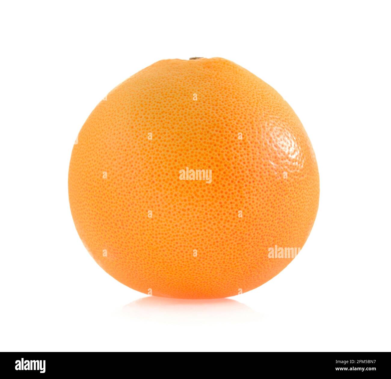 Grapefruit isolated on white background Stock Photo - Alamy