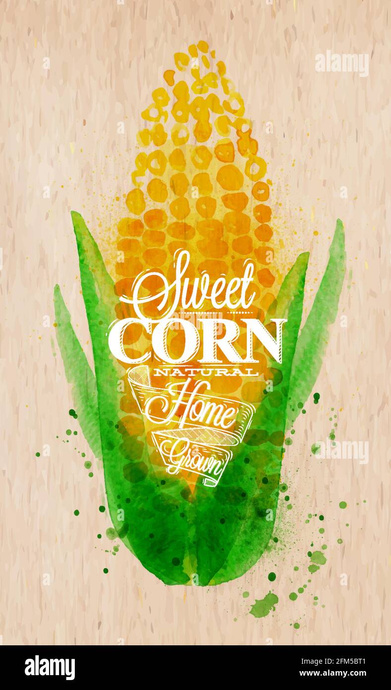 Poster with watercolor corn lettering sweet corn natural home grown ...