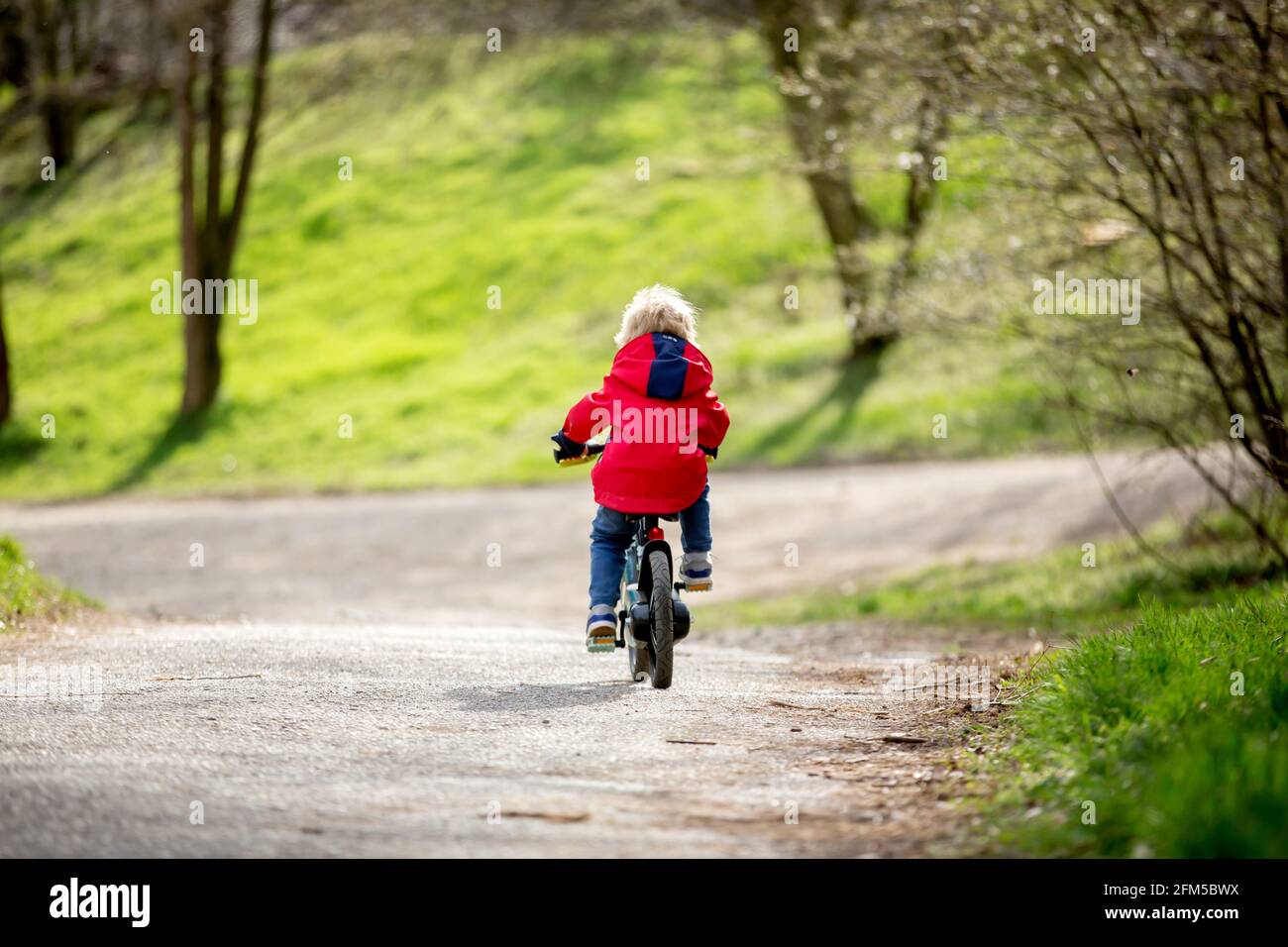 Little boy, learning how to ride a bike in the park, springtime Stock ...
