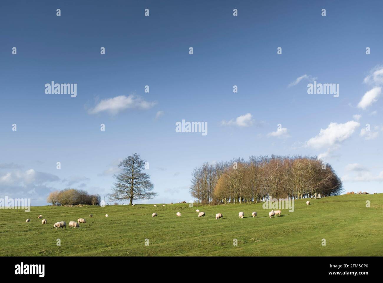 English farm scene hi-res stock photography and images - Alamy