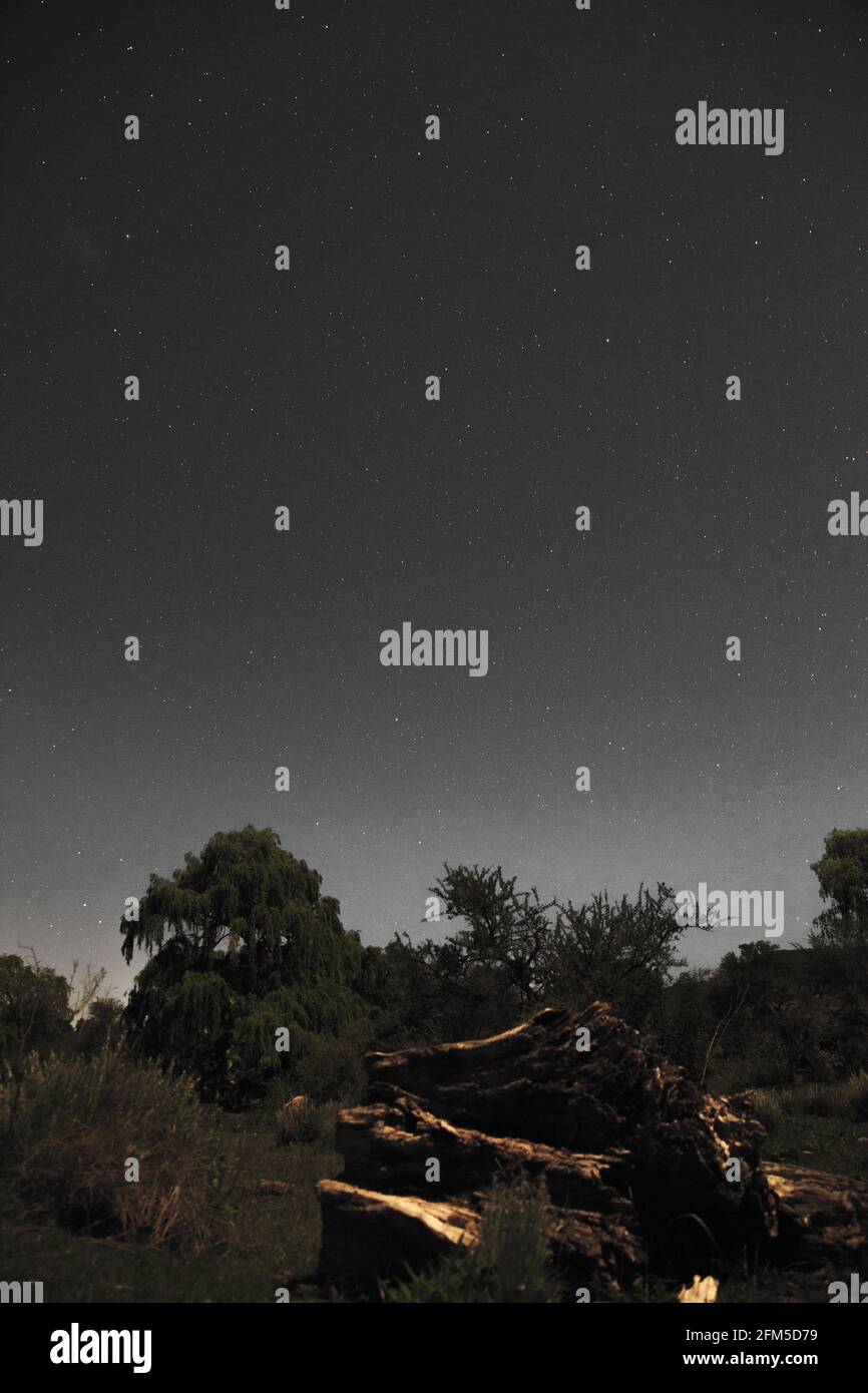 Vertical shot of an old wooden log in the mountains against a starry ...