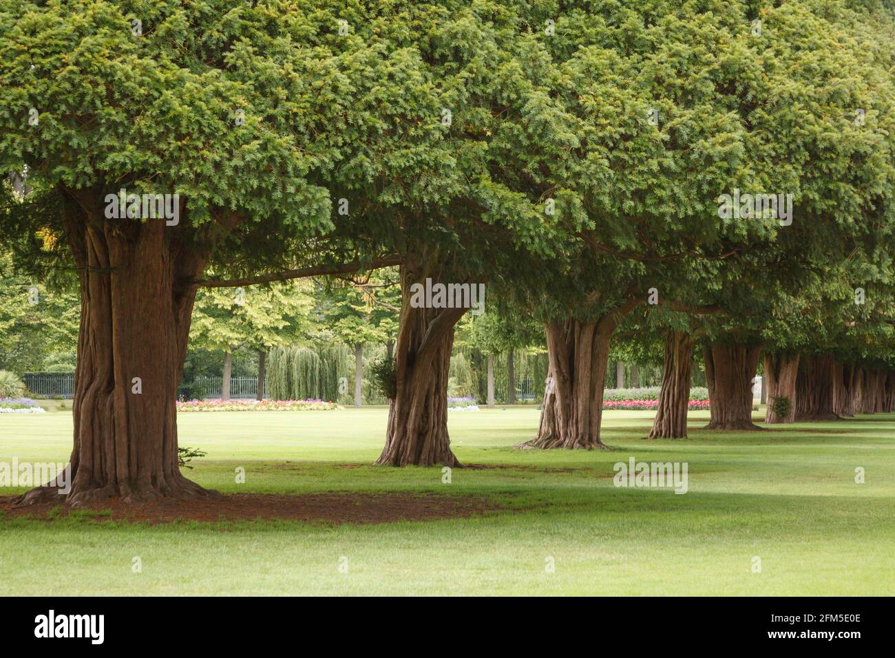 London hampton court palace hi-res stock photography and images - Alamy