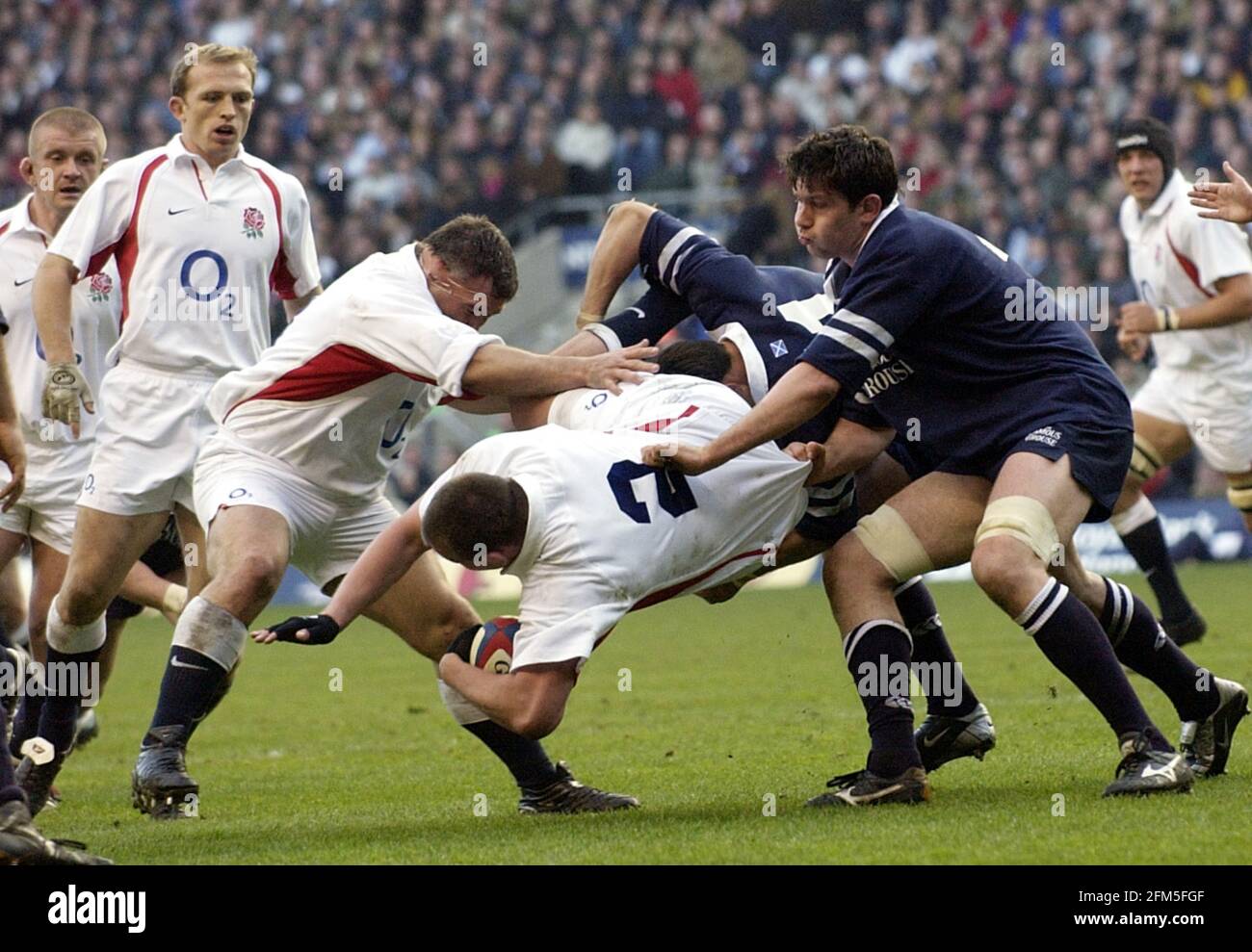 Steve thompson hi-res stock photography and images - Alamy