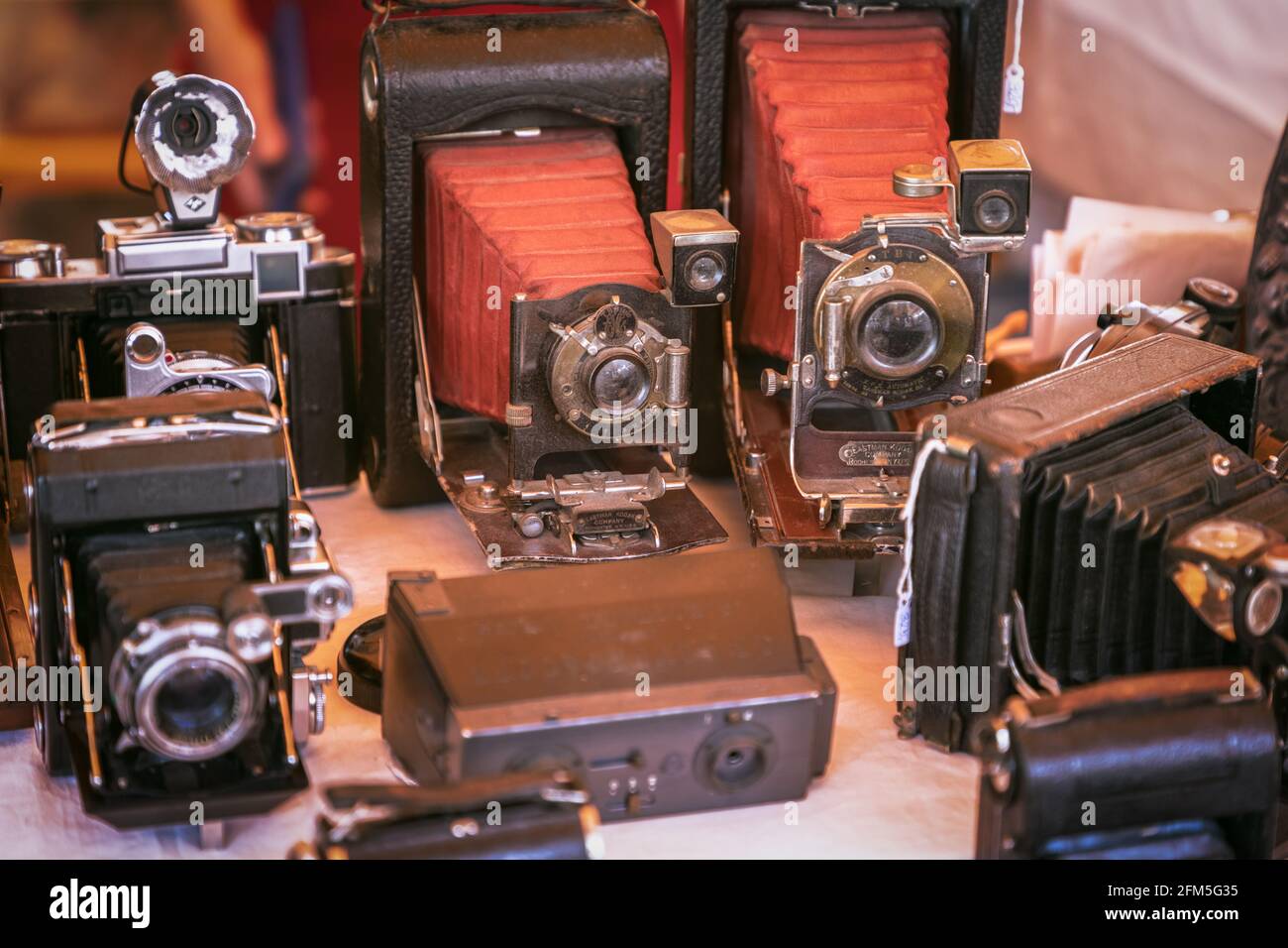 Сollection of vintage photo cameras (vintage photo effect Stock Photo ...