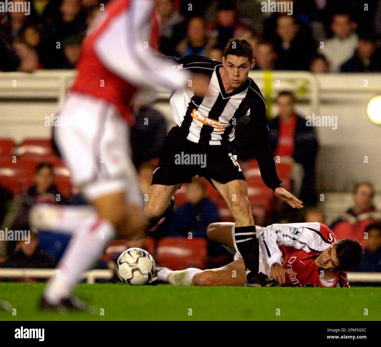 David willems hi-res stock photography and images - Alamy