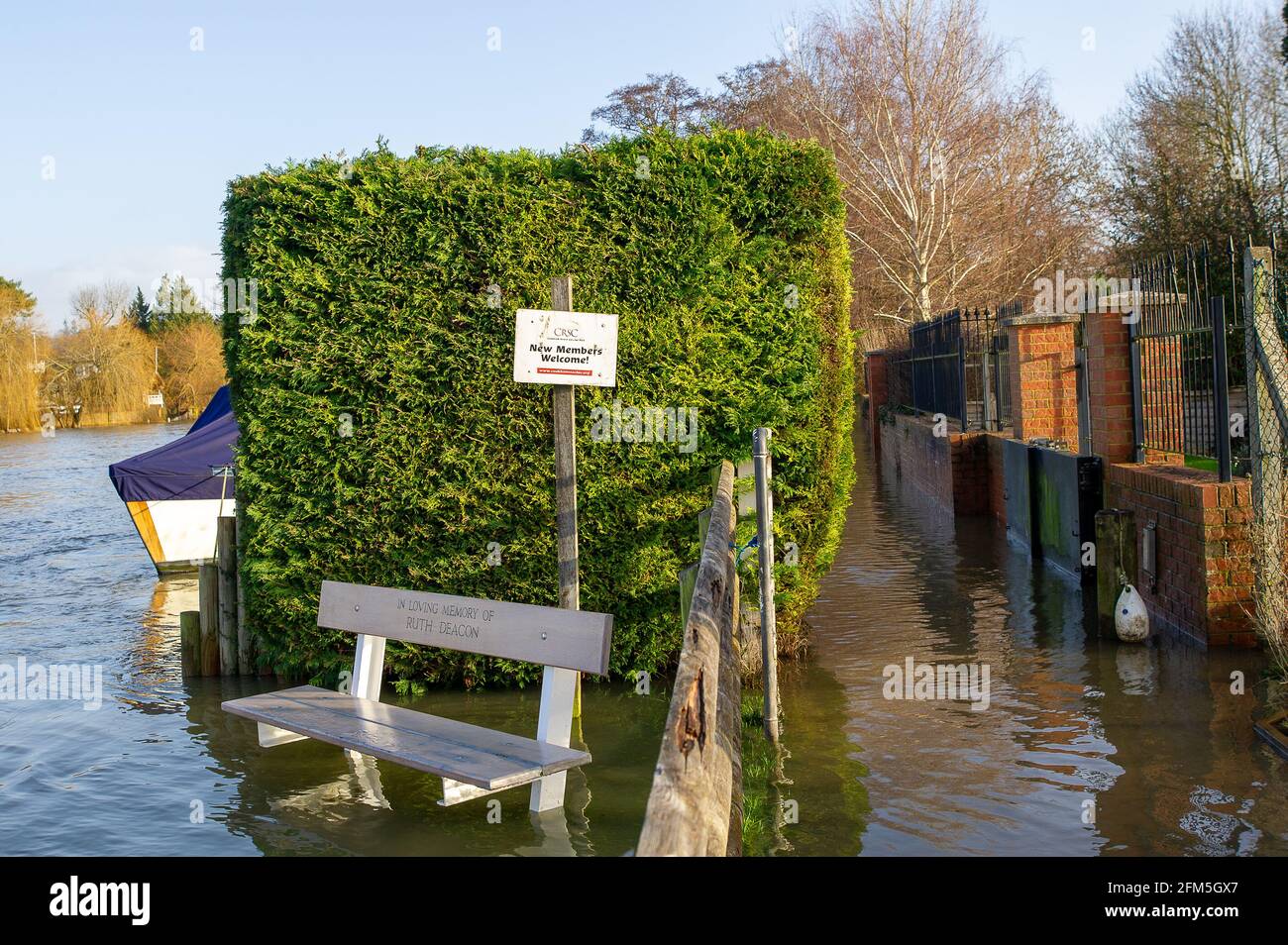 Cookham, Berkshire, UK. 2nd February, 2021. The flooded tow path in ...