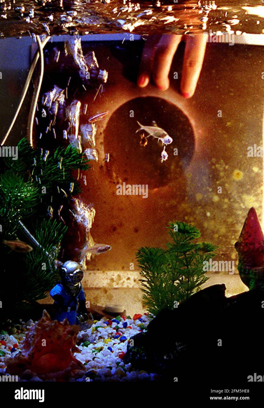 Someone who is trying to see if the eclipse has an effect on their pet ...