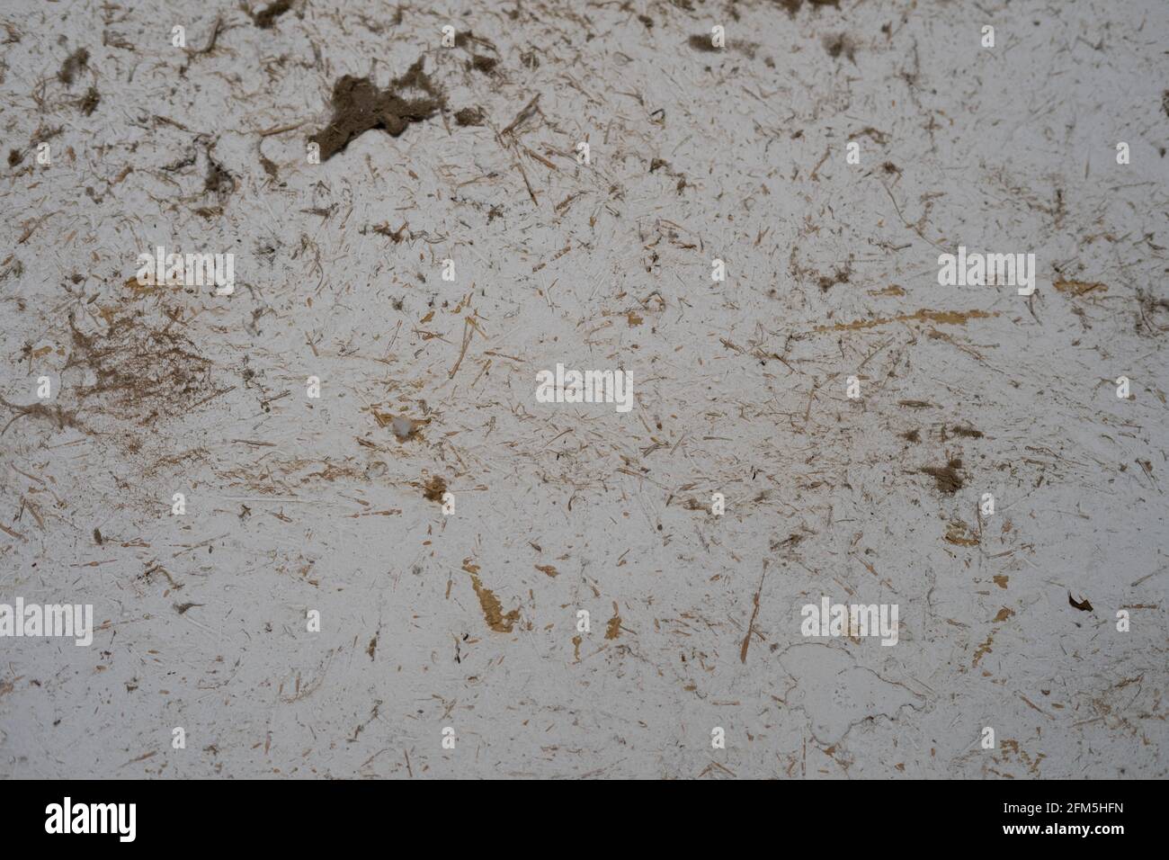 adobe wall with lime cladding Stock Photo - Alamy