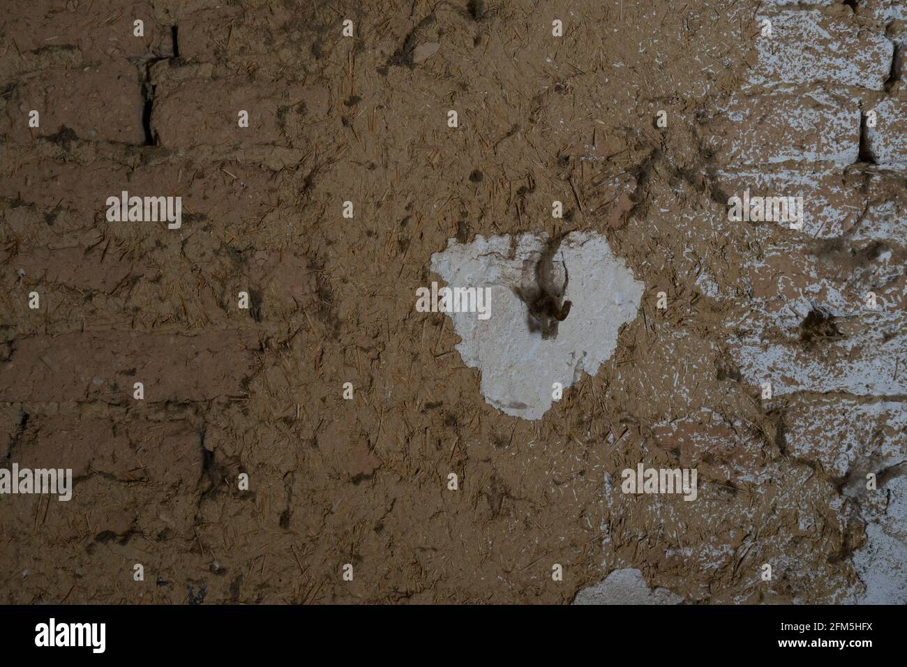 adobe wall with lime cladding Stock Photo - Alamy