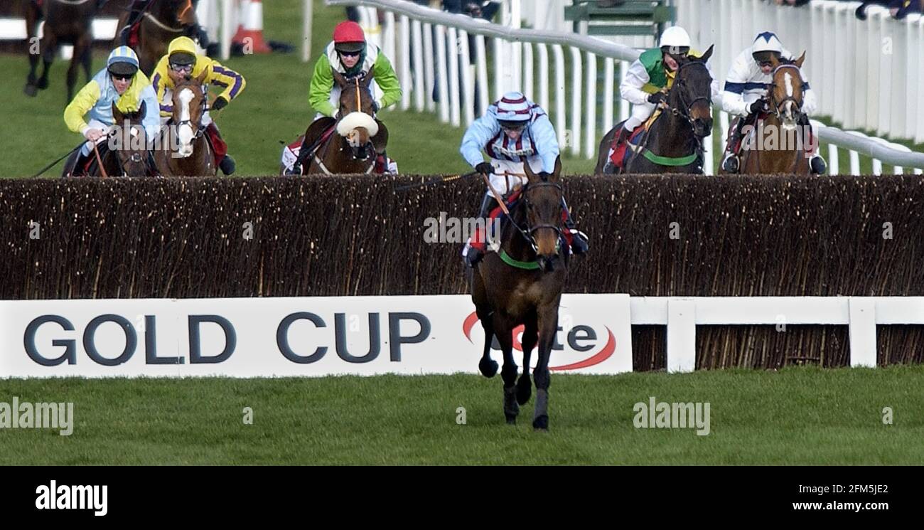 Best mate horse hi-res stock photography and images - Alamy