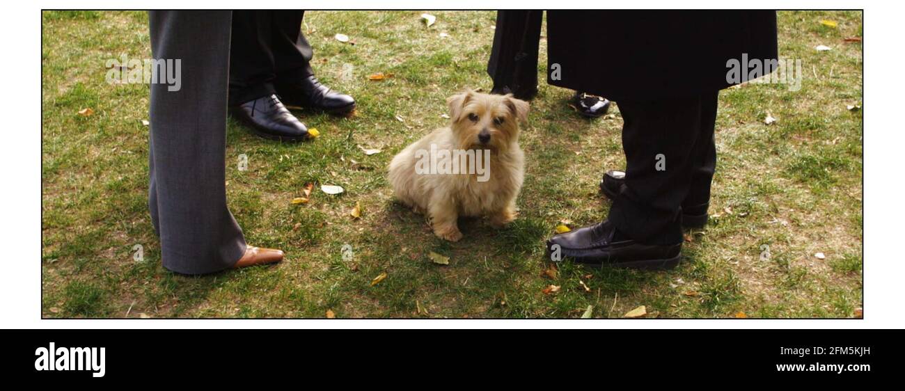 Culross Cut Out Stock Images & Pictures - Alamy