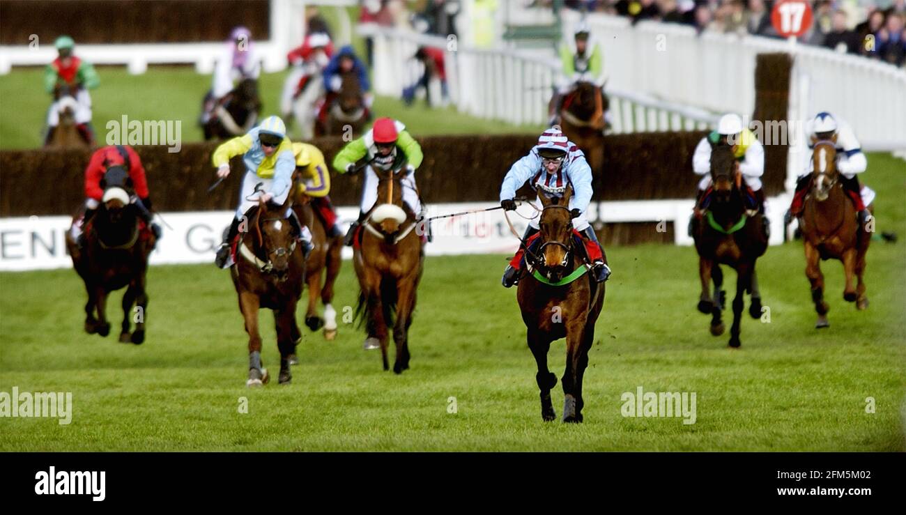 Best mate horse hi-res stock photography and images - Alamy