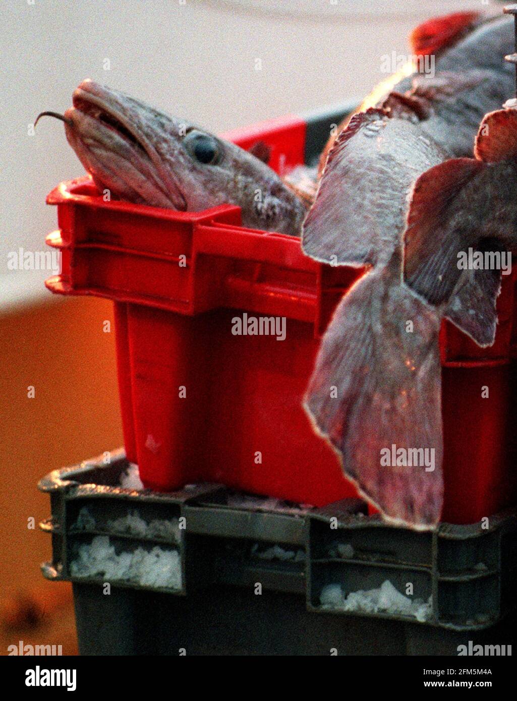 Guernsey motors hi-res stock photography and images - Alamy