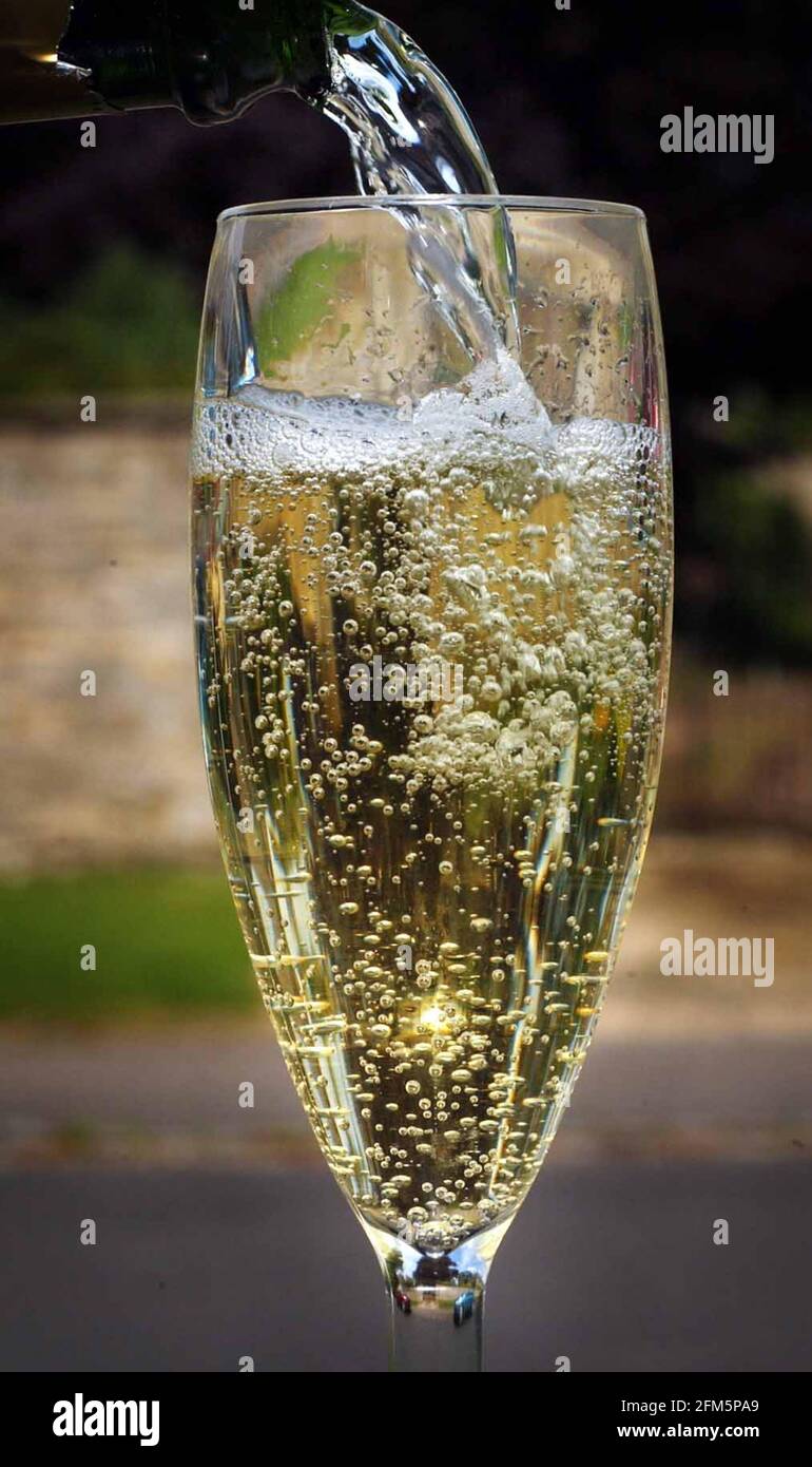 ENGLISH SPARKLING WINE.2/6/04 PILSTON Stock Photo - Alamy