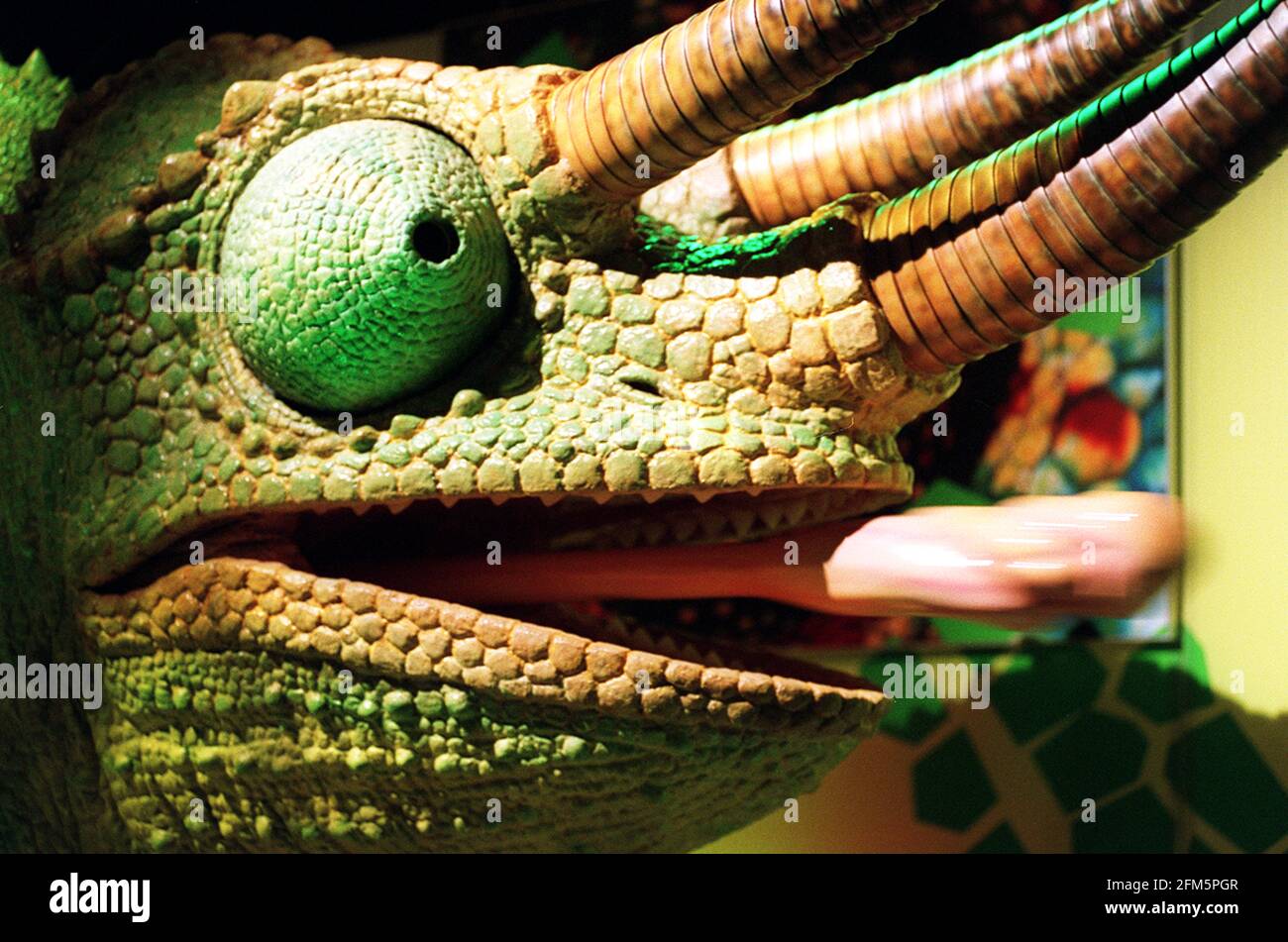 NEW EXHIBITON CALLED PREDATORS - JULY 2001 AT THE NATURAL HISTORY ...