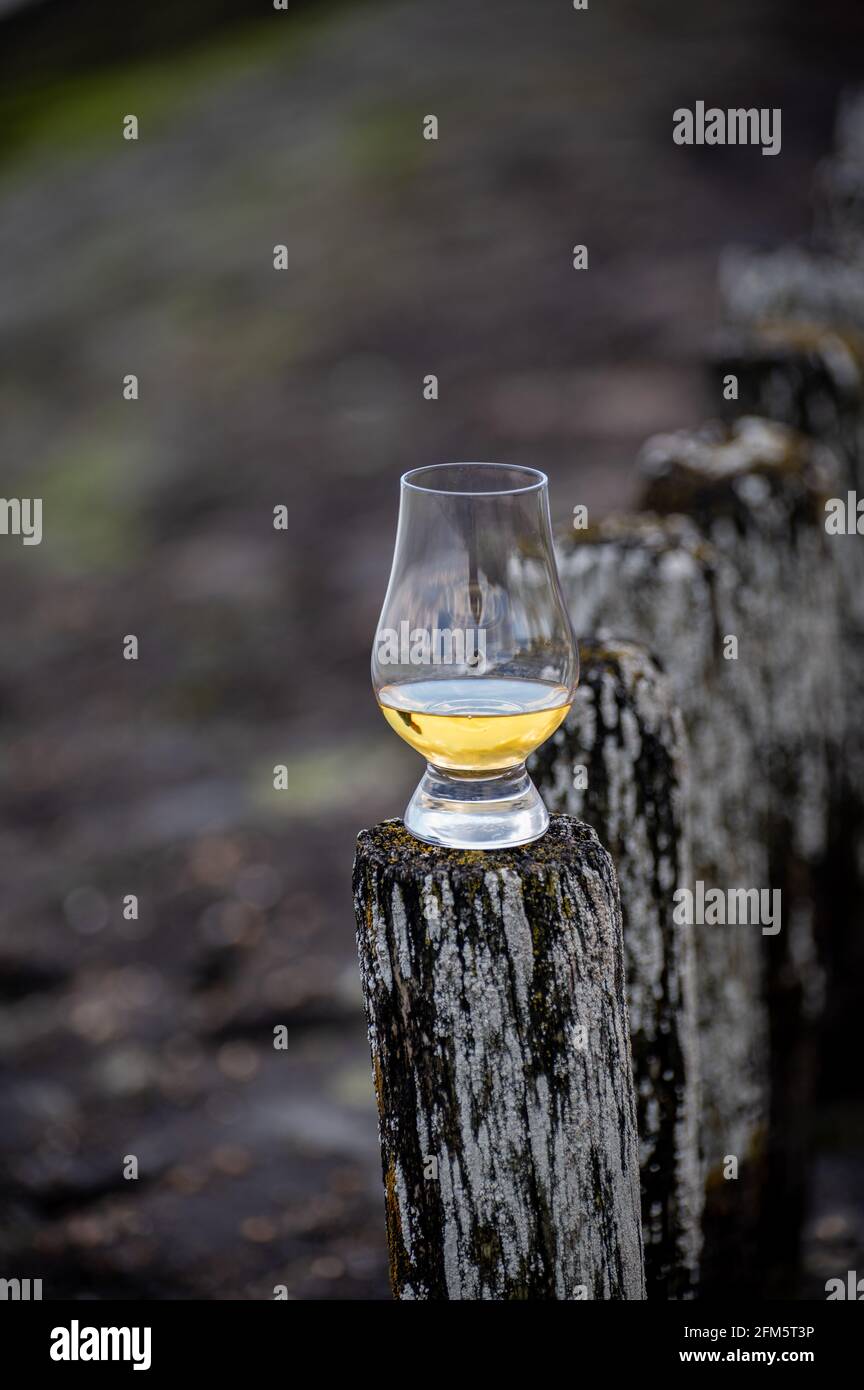 Tasting of dram single malt scotch whisky on seashore in Scotland, old ...