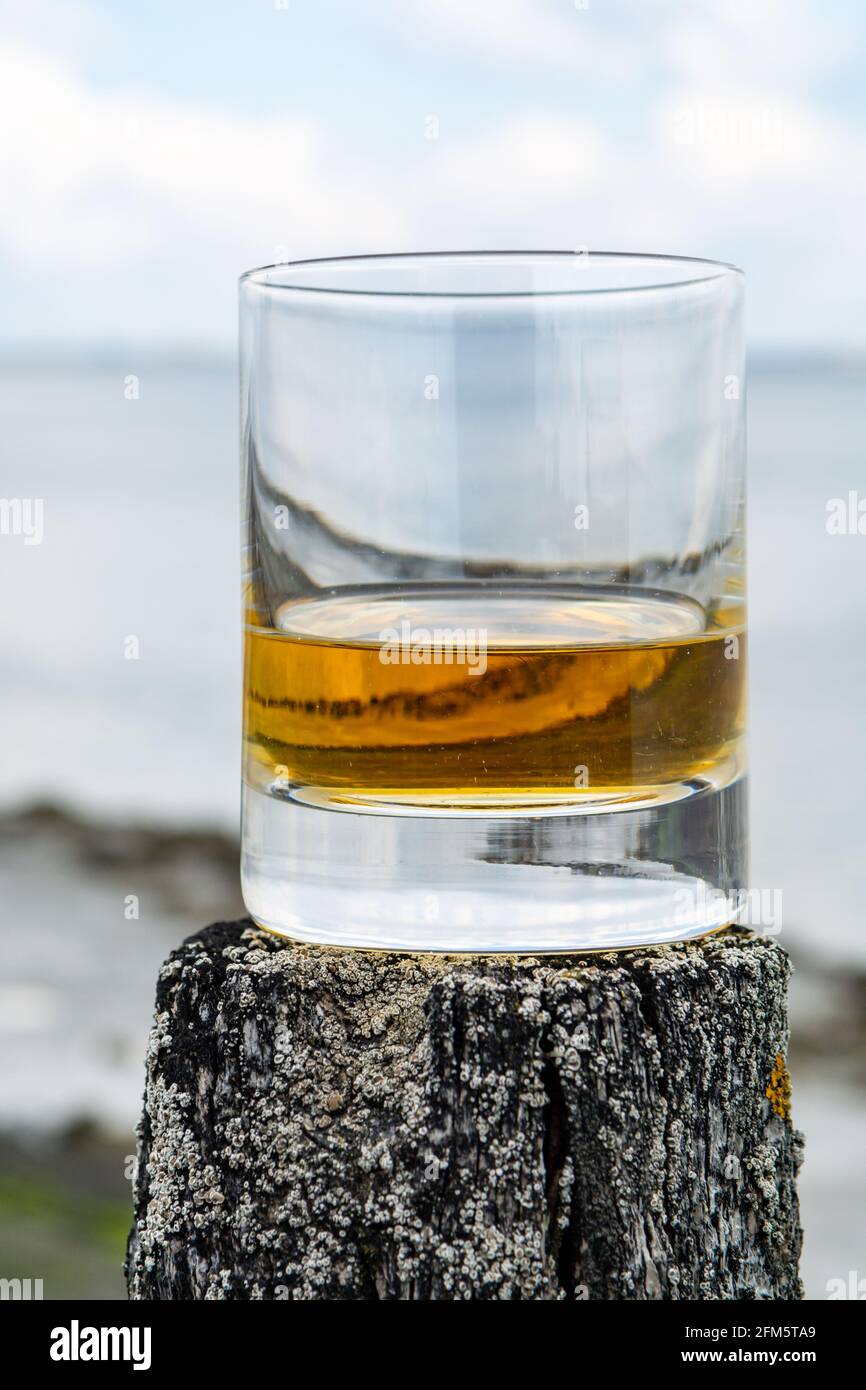 Tasting of dram single malt scotch whisky on seashore in Scotland, old ...