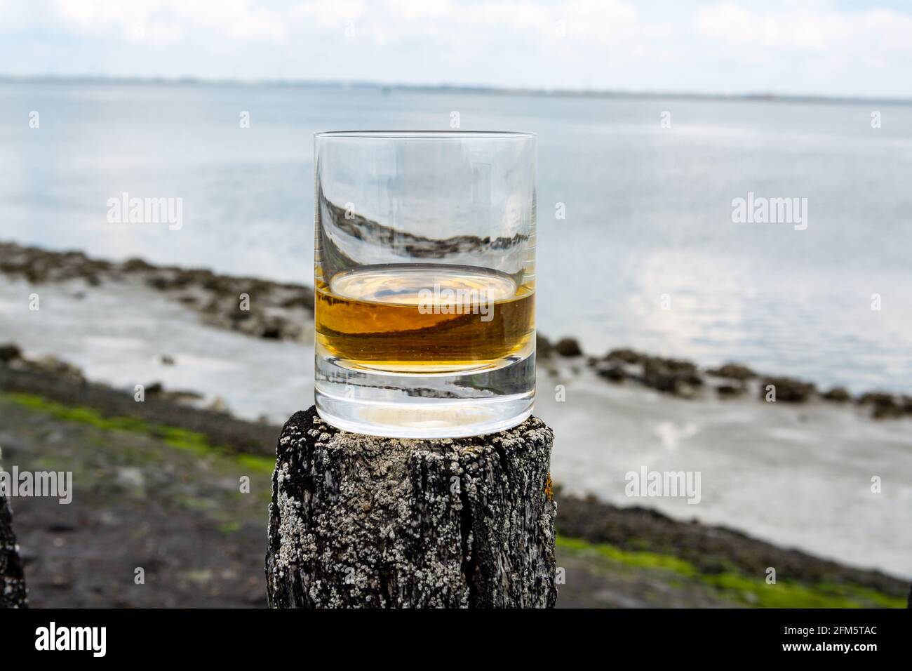 Tasting of dram single malt scotch whisky on seashore in Scotland, old ...