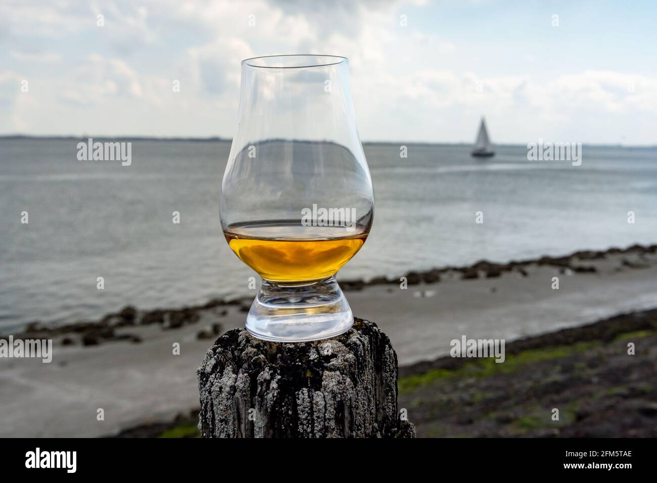 Tasting of dram single malt scotch whisky on seashore in Scotland, old ...