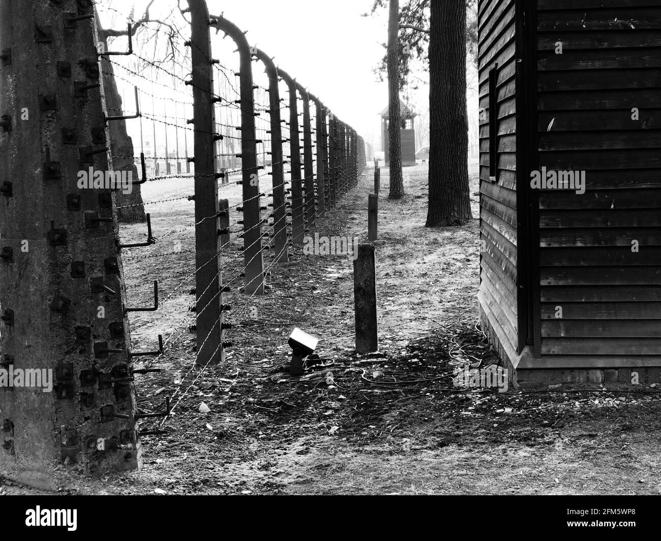 Barbed wire fence of the prison Stock Photo - Alamy