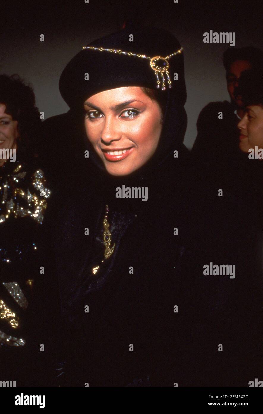 WESTWOOD, CA - FEBRUARY 11: Singer Vanity attends the premiere of ...