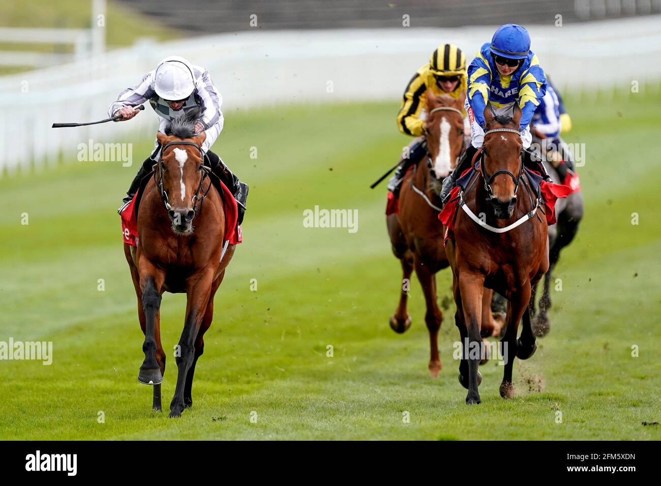 Ormonde horse hi-res stock photography and images - Alamy