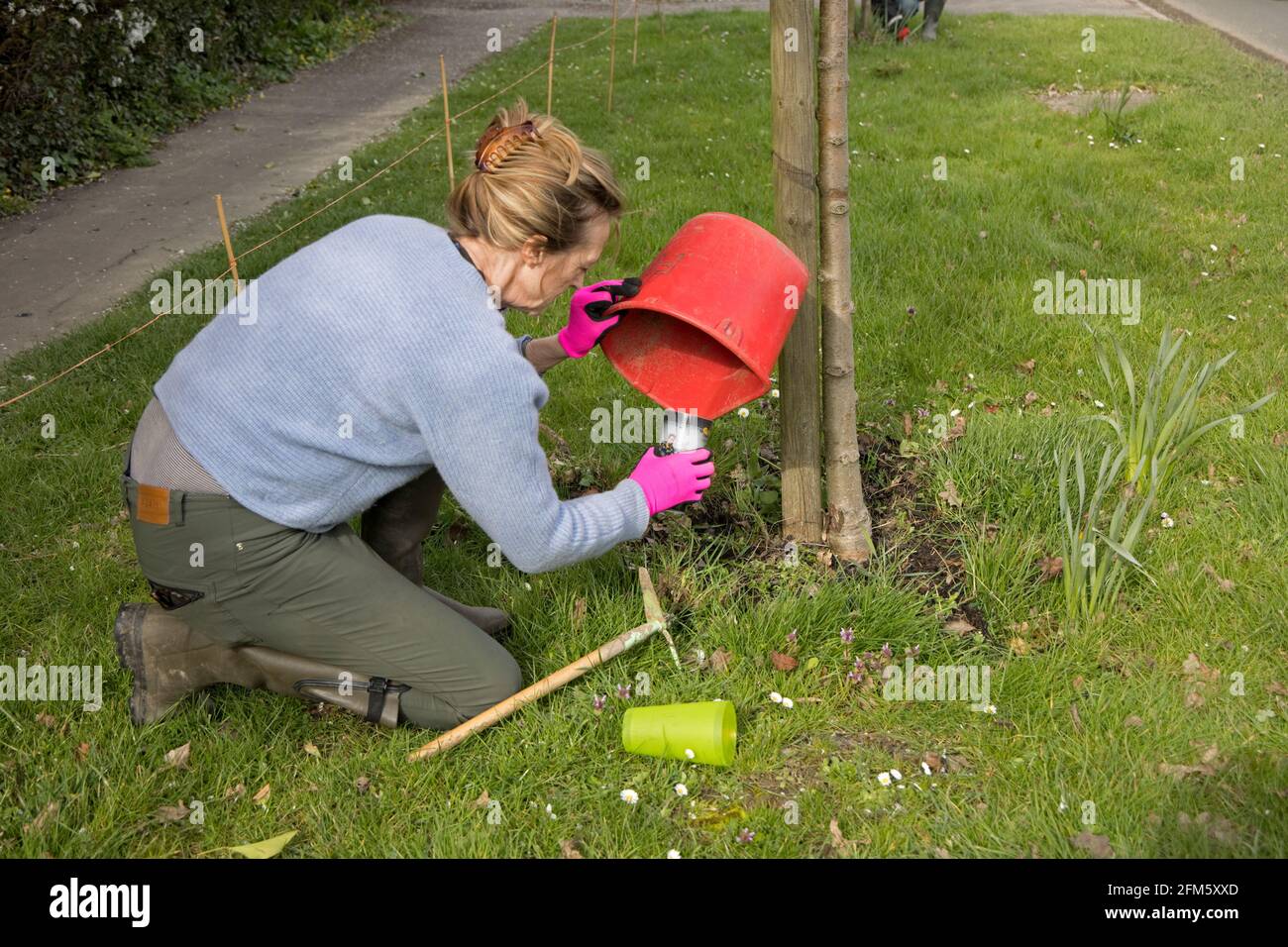 Woman rewilding green space near roadside with native wildflower seeds ...