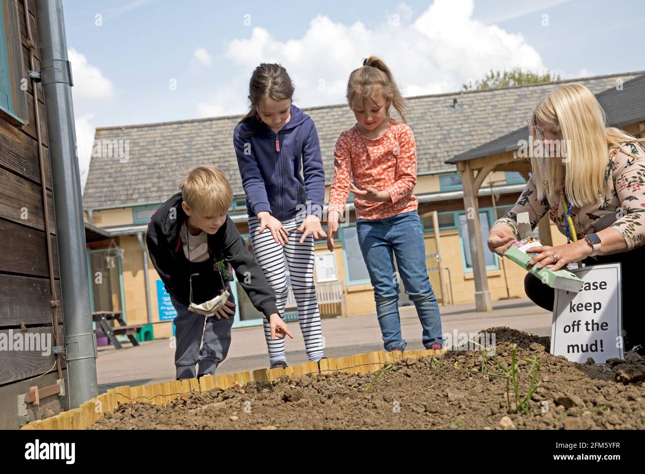 Primary school children planting wild flower seeds Mickleton School UK ...