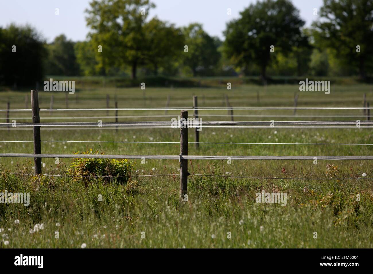 green fenced pastures on a horse farm Stock Photo - Alamy