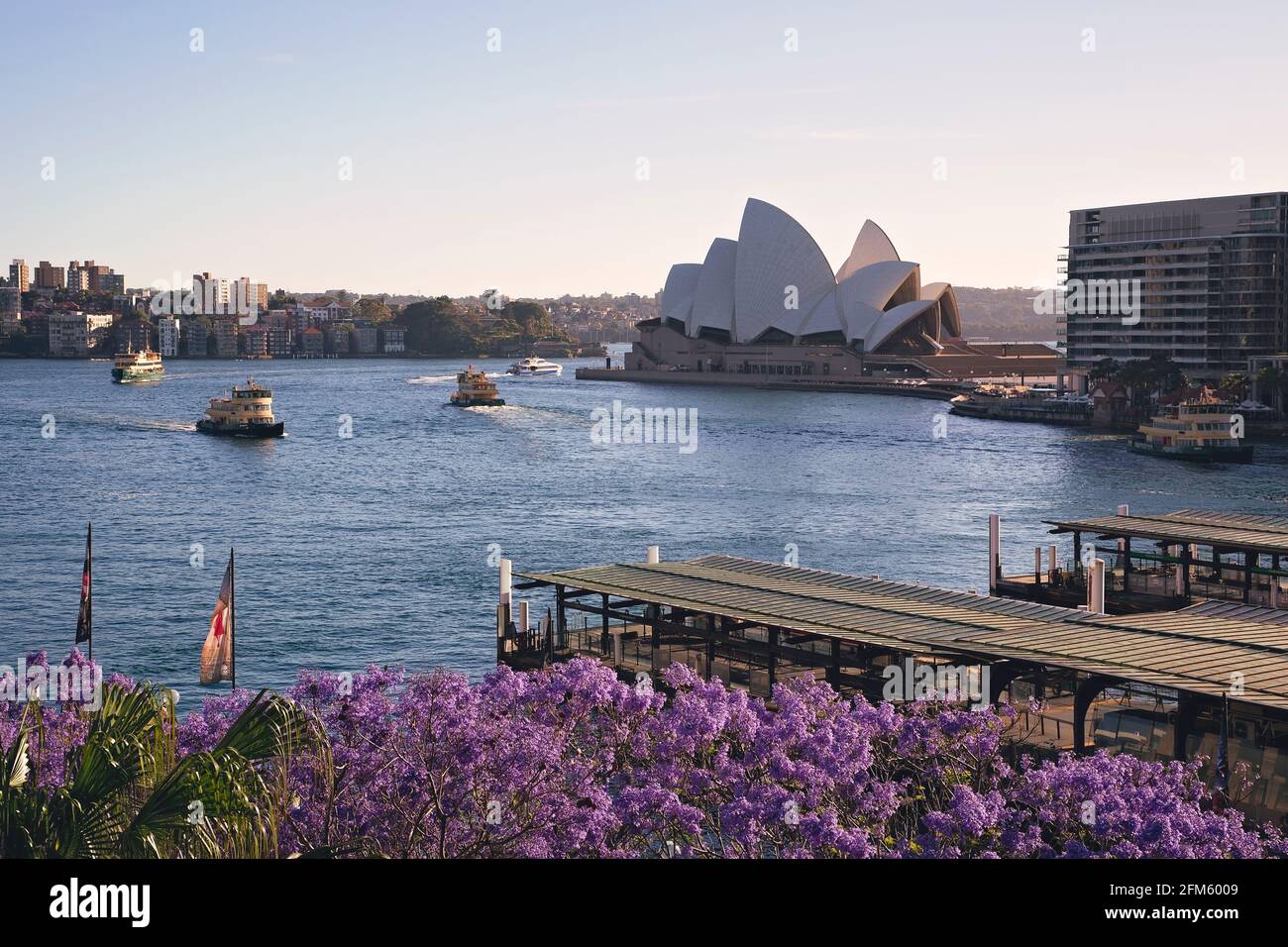 Sydney harbour architecture hi-res stock photography and images - Alamy