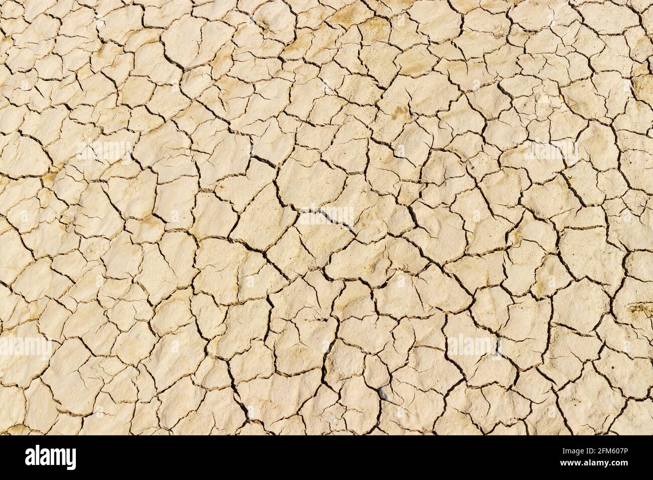dry cracked earth Stock Photo - Alamy
