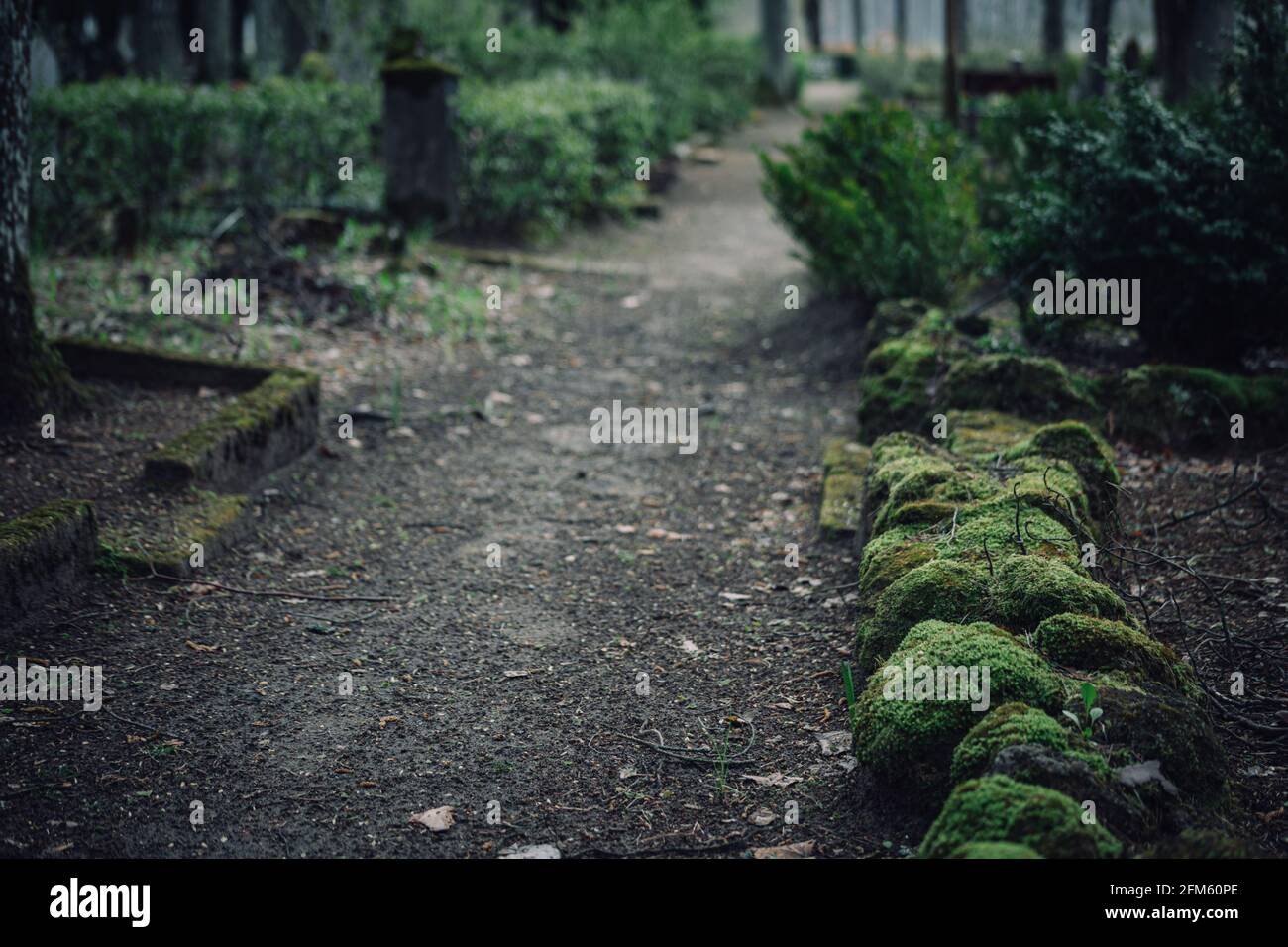 Pathway cemetery hi-res stock photography and images - Alamy
