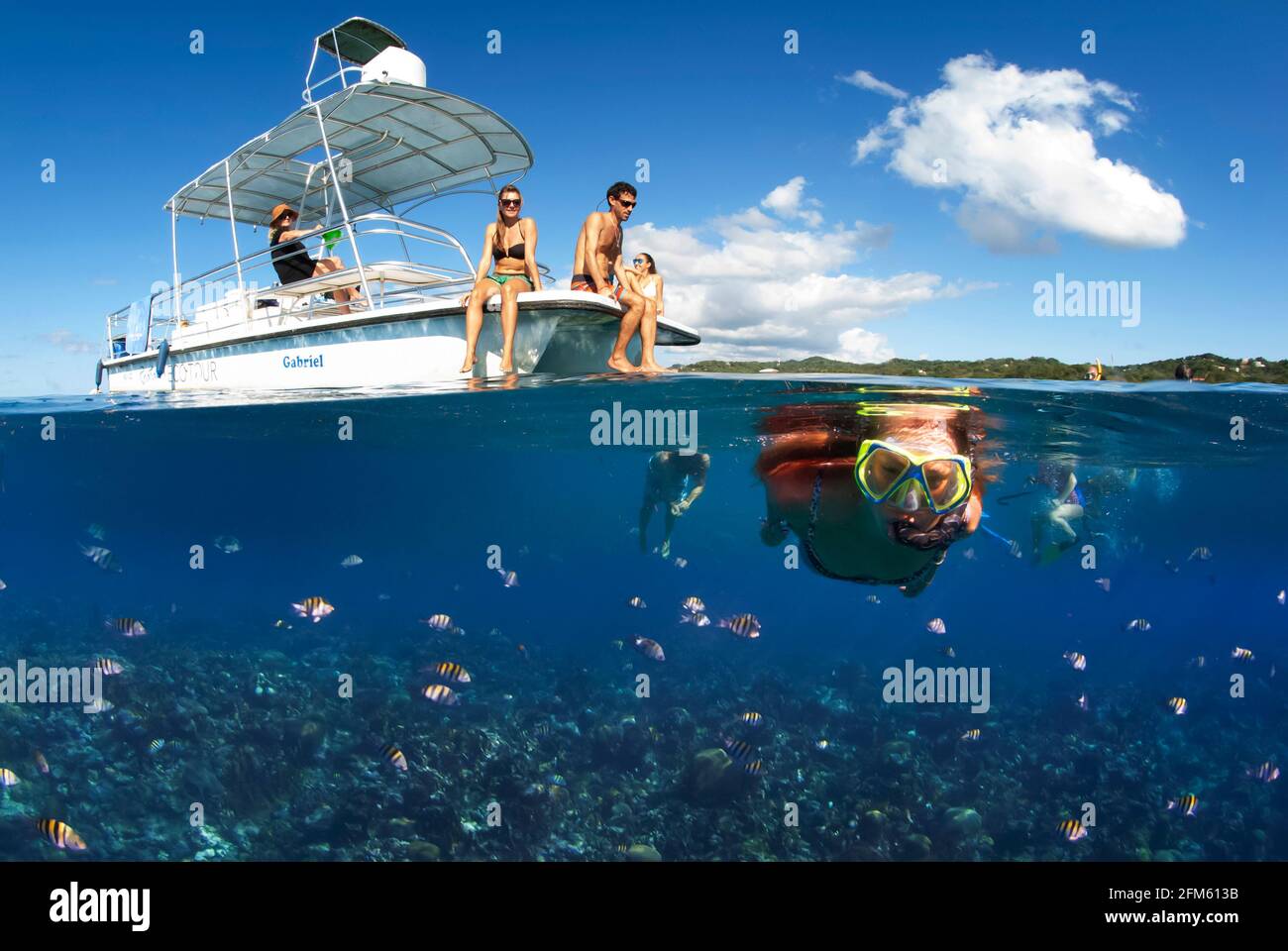 Half above half underwater hi-res stock photography and images - Alamy