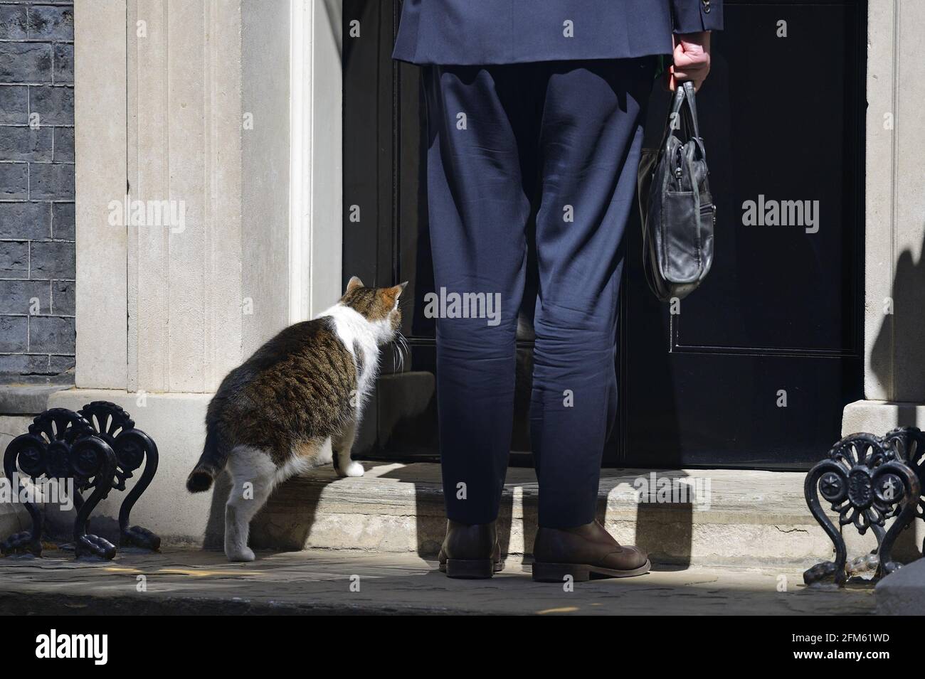 Larry the cat number 10 hi-res stock photography and images - Alamy