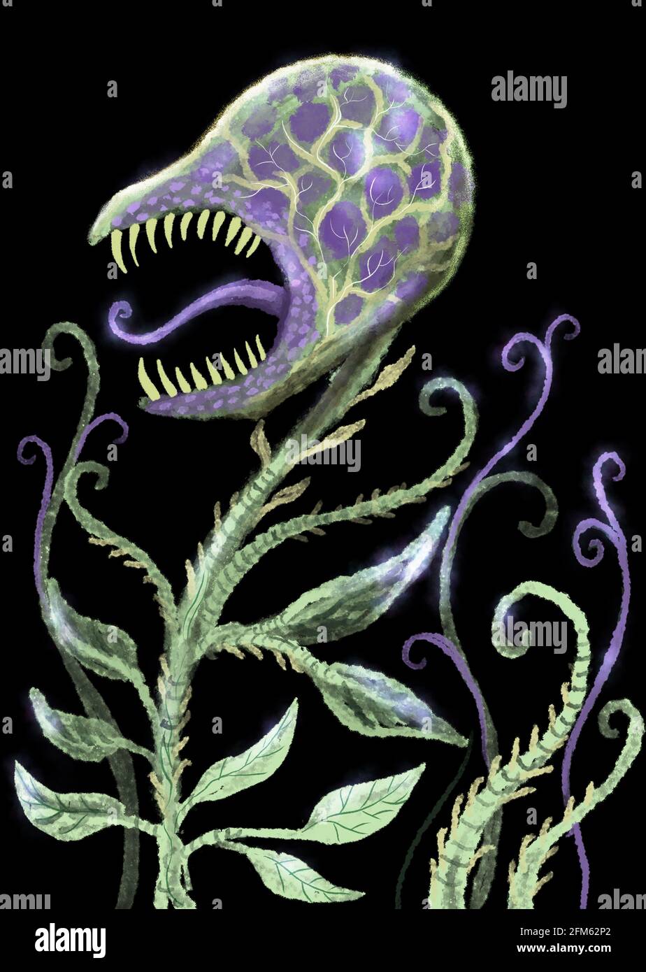 monstrous man eating plant hand drawn art Stock Photo - Alamy
