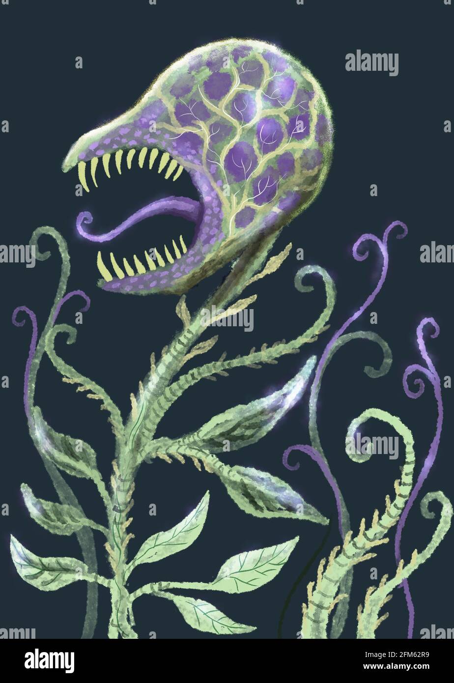 monstrous man eating plant hand drawn art Stock Photo - Alamy