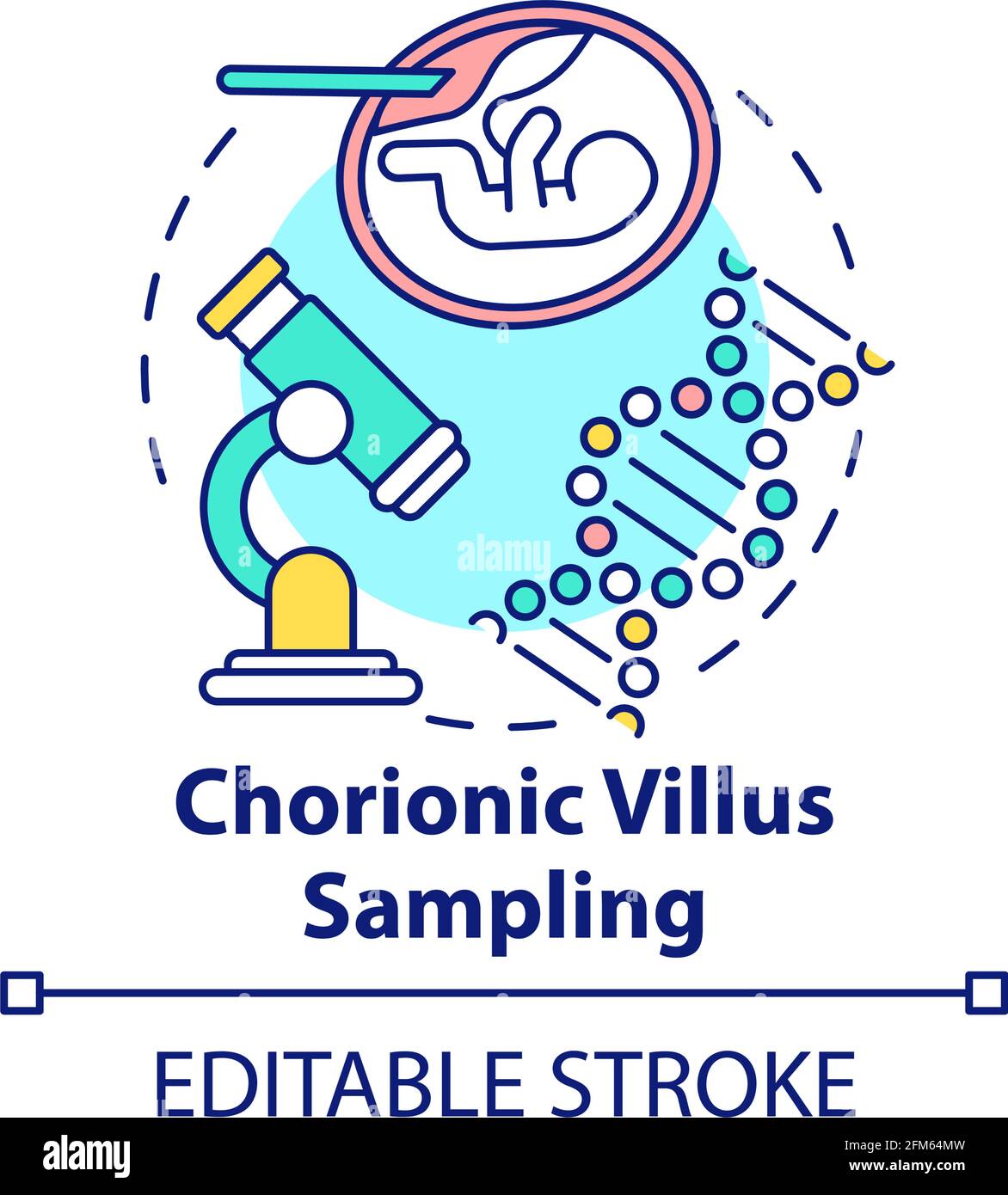 Chorionic Villus Sampling Diagram