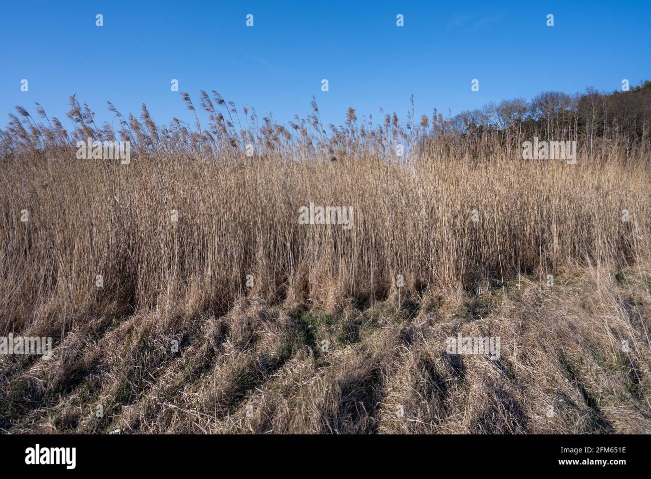 Hamburgsund season hi-res stock photography and images - Alamy