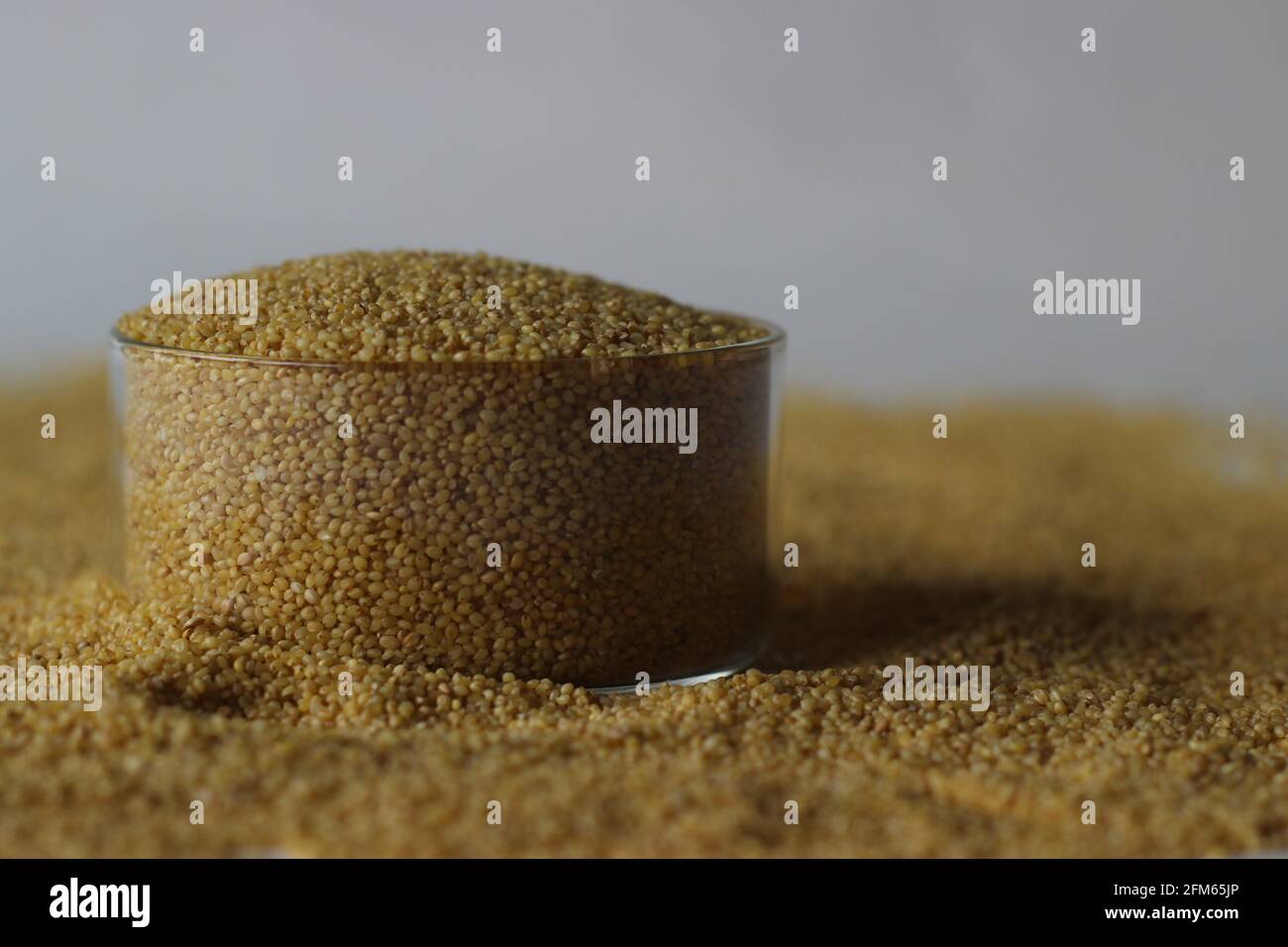 Foxtail millet, scientific name Setaria italica, is an annual grass ...