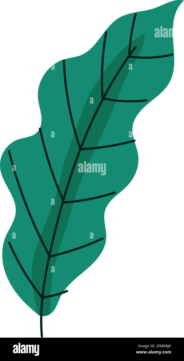 leaf plant nature cartoon isolated Stock Vector Image & Art - Alamy