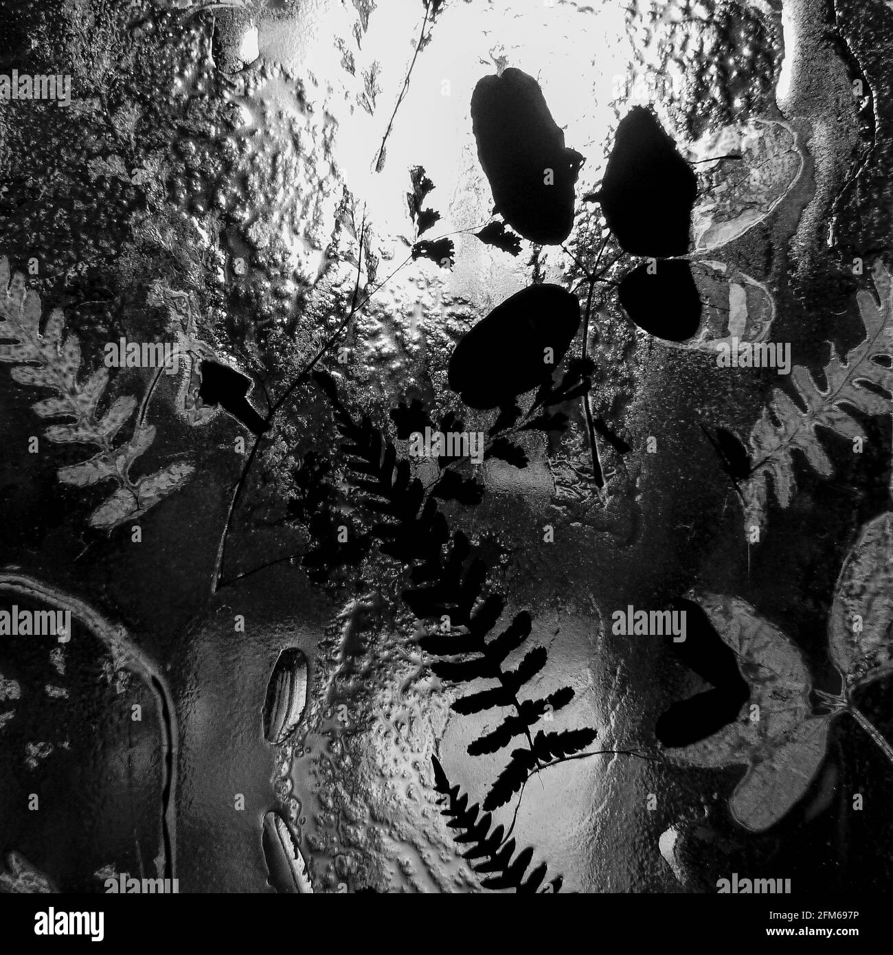 Glass inclusions hi-res stock photography and images - Alamy