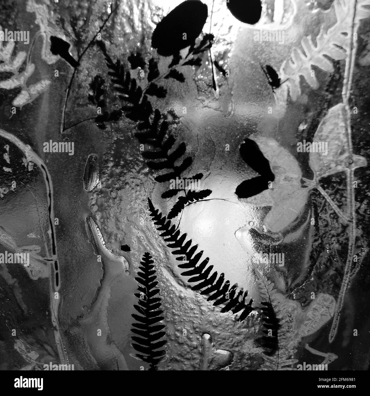 Glass inclusions hi-res stock photography and images - Alamy