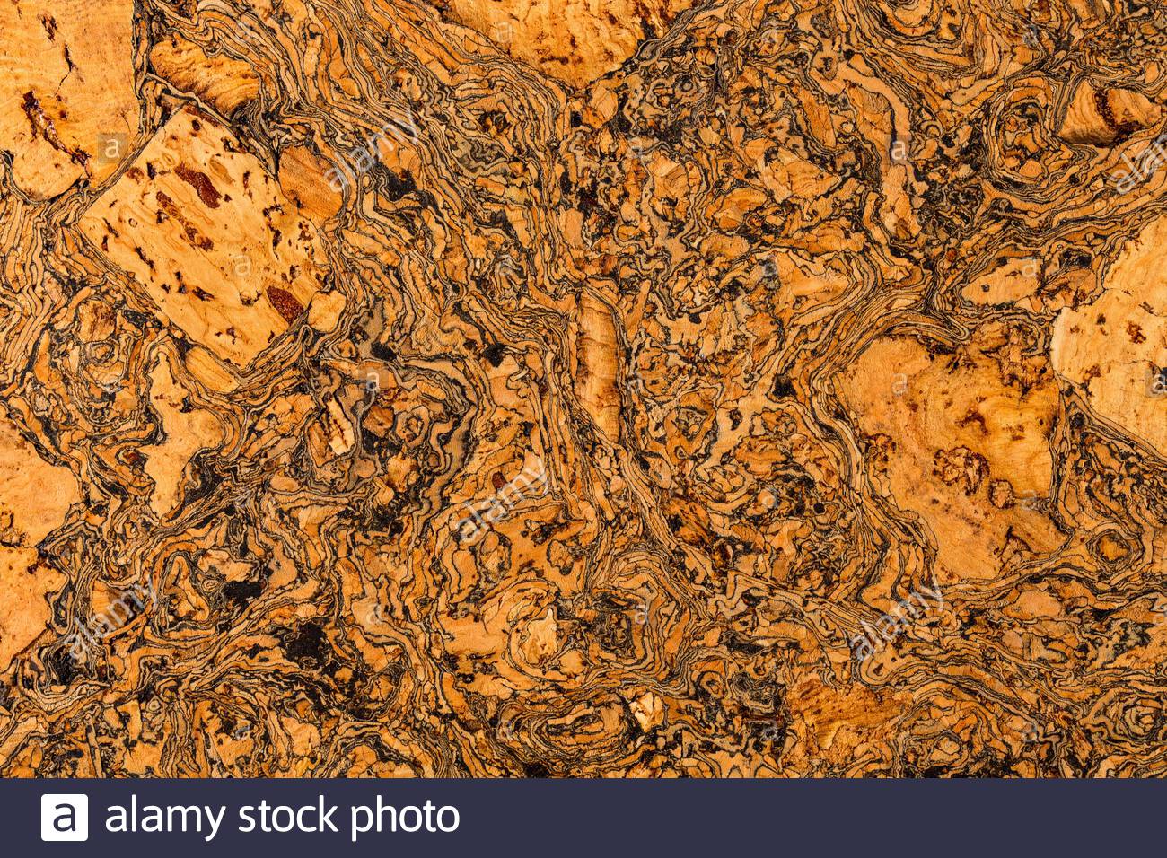 Bur Oak High Resolution Stock Photography and Images - Alamy