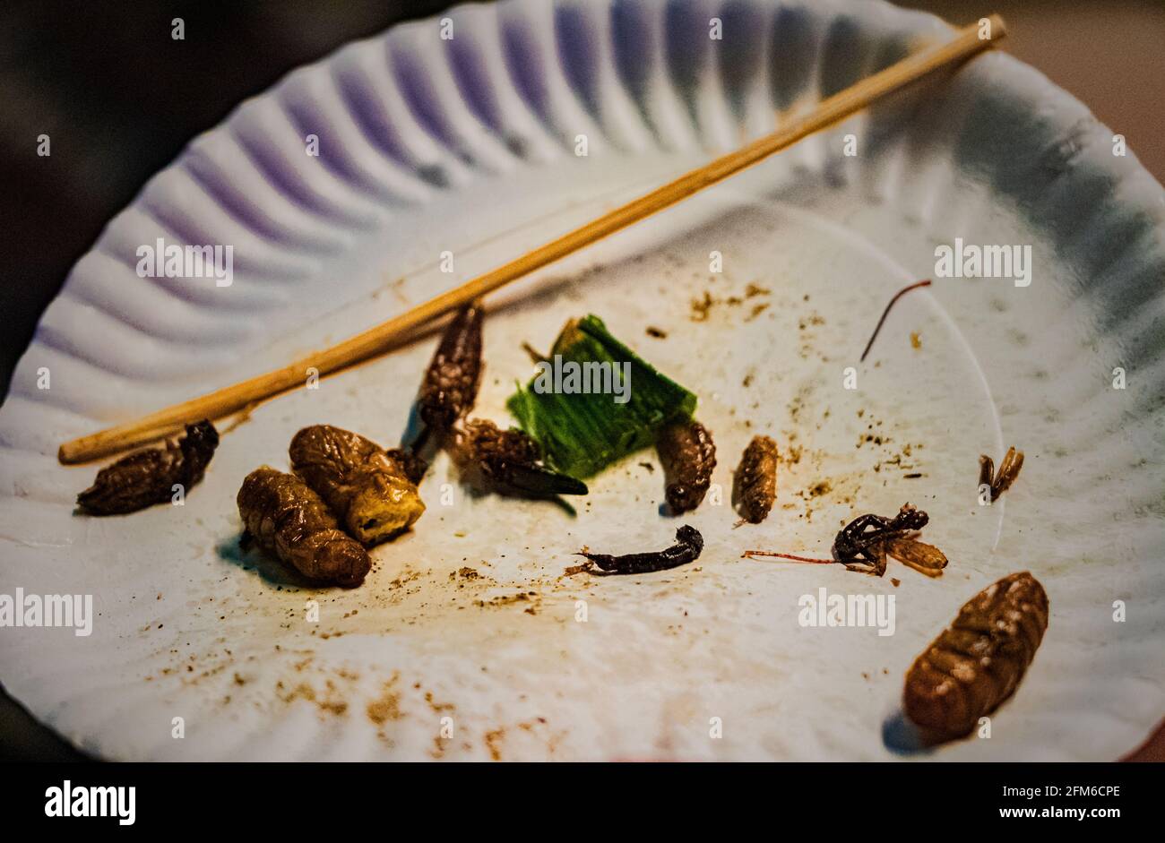 Disgusting Thai food and sale of insects for eating consumption at ...