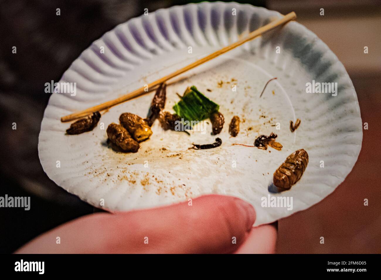 Disgusting Thai food and sale of insects for eating consumption at ...