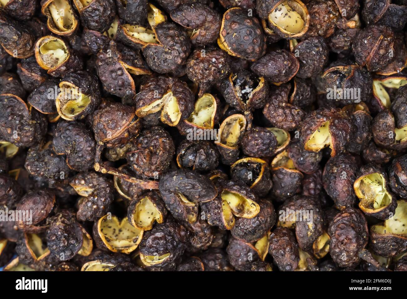 Macro full frame closeup of raw brown whole chinese sichuan timut ...