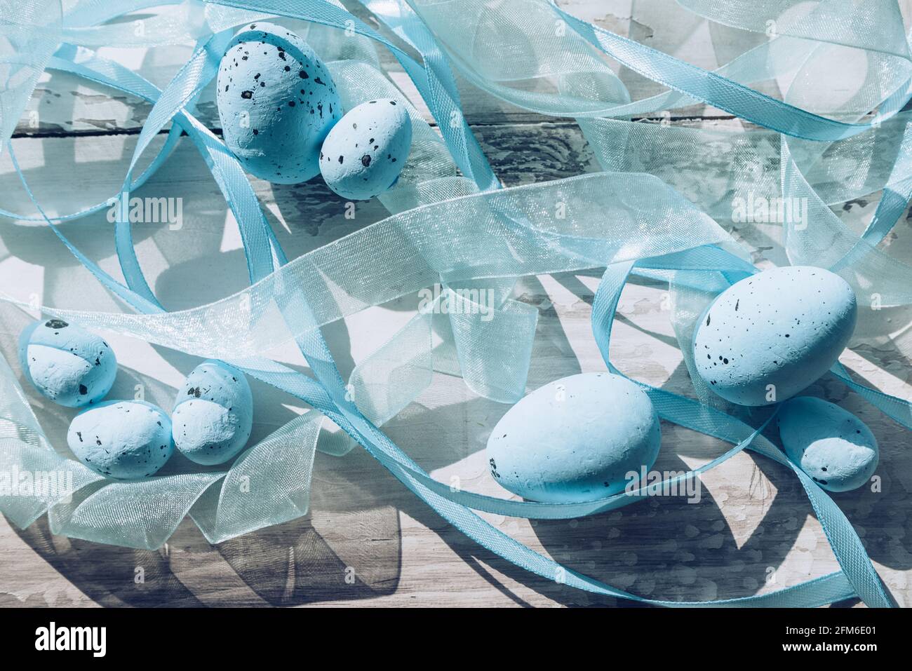 close up view of blue spotted eggs and blue organza and atlas ribbons ...