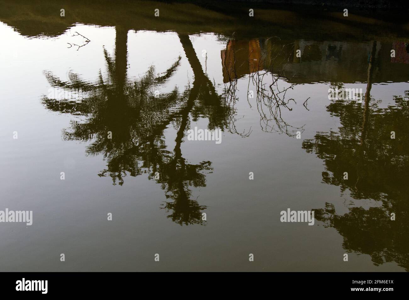 tree reflection on water abstract photography Stock Photo - Alamy