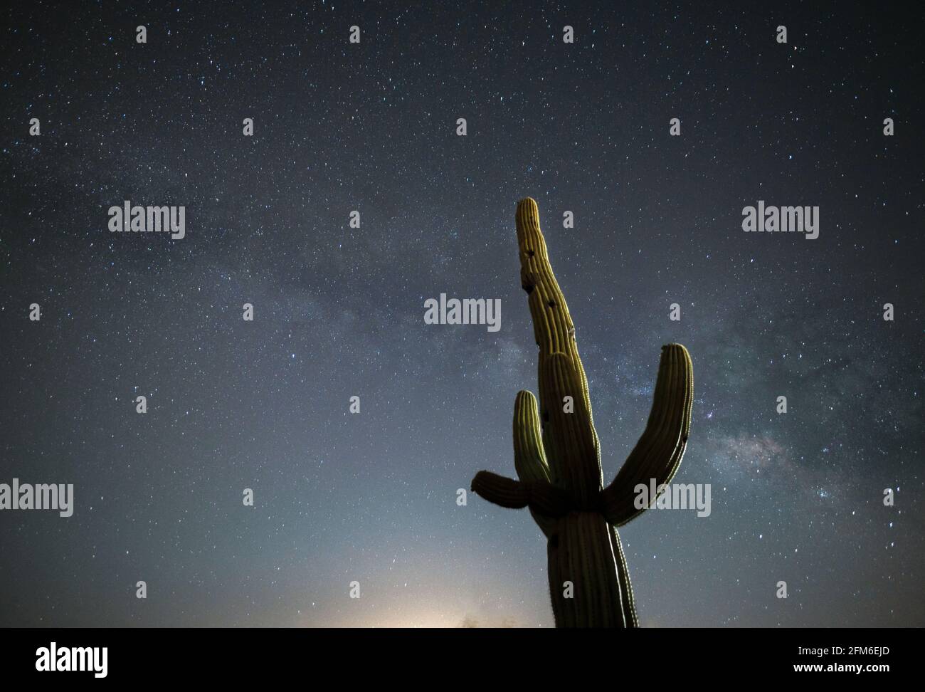 Beautiful Saguaro Cactus under the Milky Way Galaxy Stock Photo - Alamy